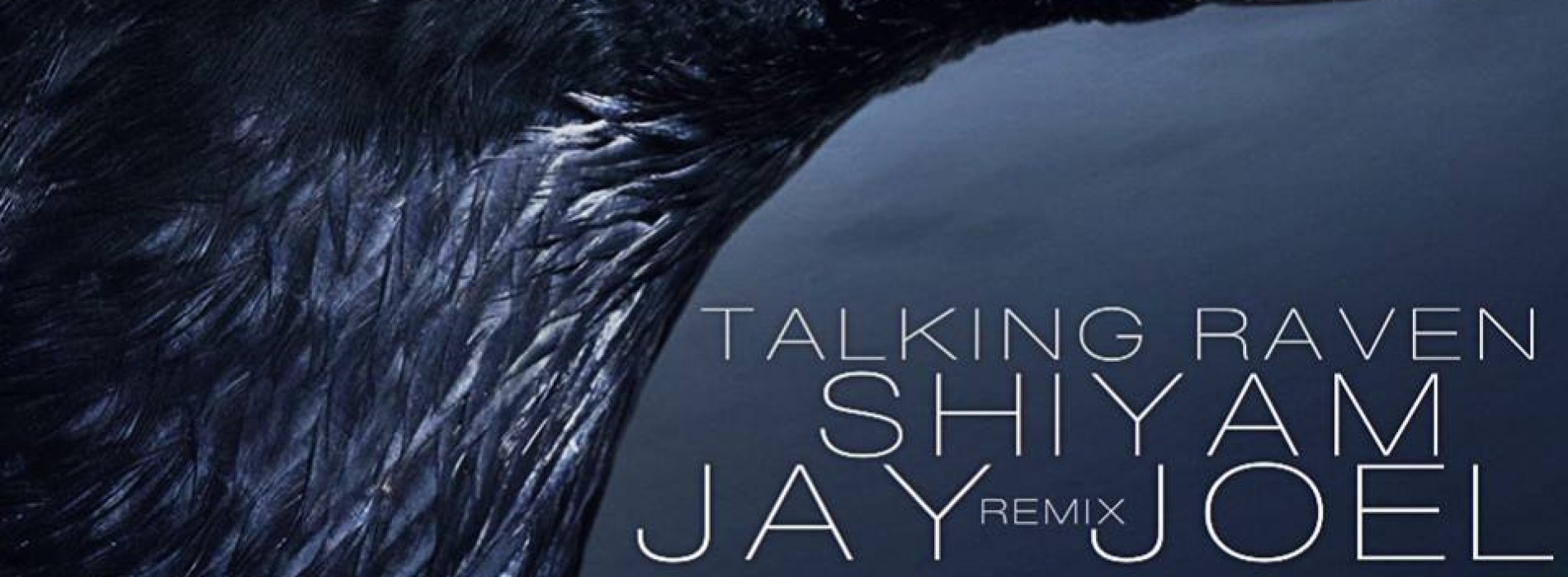 Jay Joel: “Talking Raven”(Nu Disco Remix) | Decibel