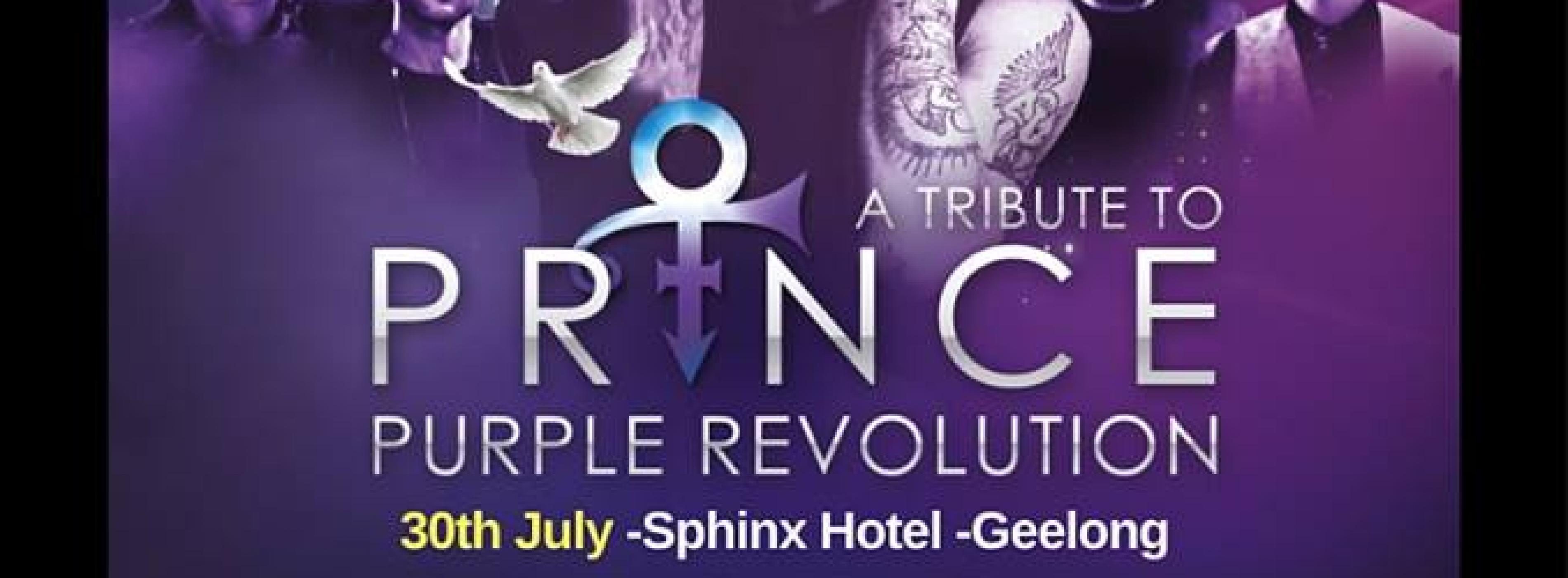 Purple Revolution Plays This Saturday | Decibel