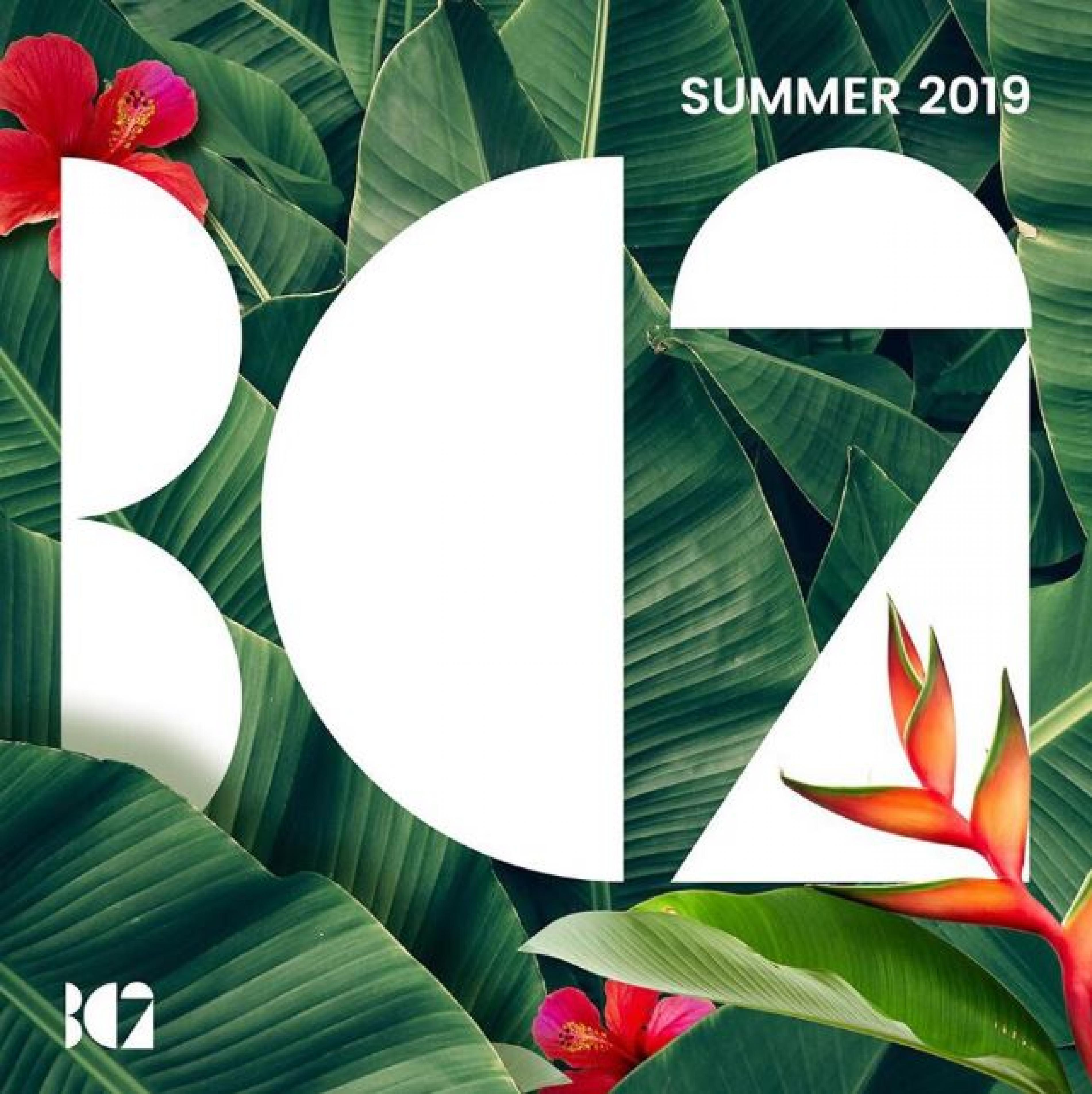 The BC2 Summer 2019 Compilation Is Out | Decibel